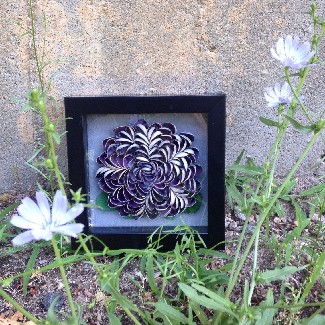 Seashell Flower Shadow Box purple Cay Cay Shells - Etsy