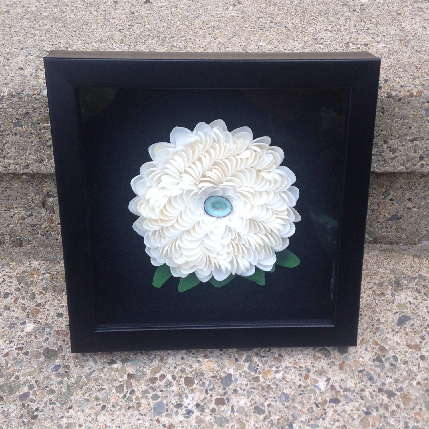 White Cay Cay Seashell Flower Shadow Box LARGE - Etsy