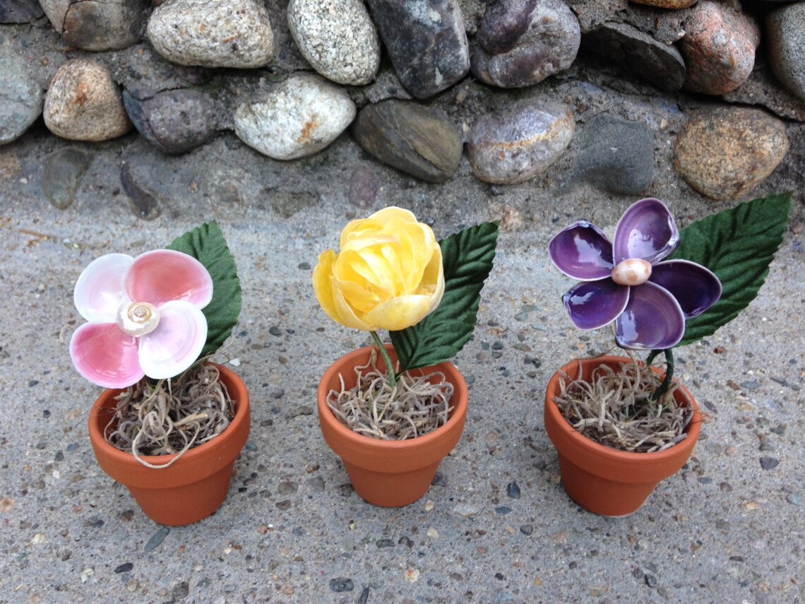 Custom Seashell Flower Pot | Etsy