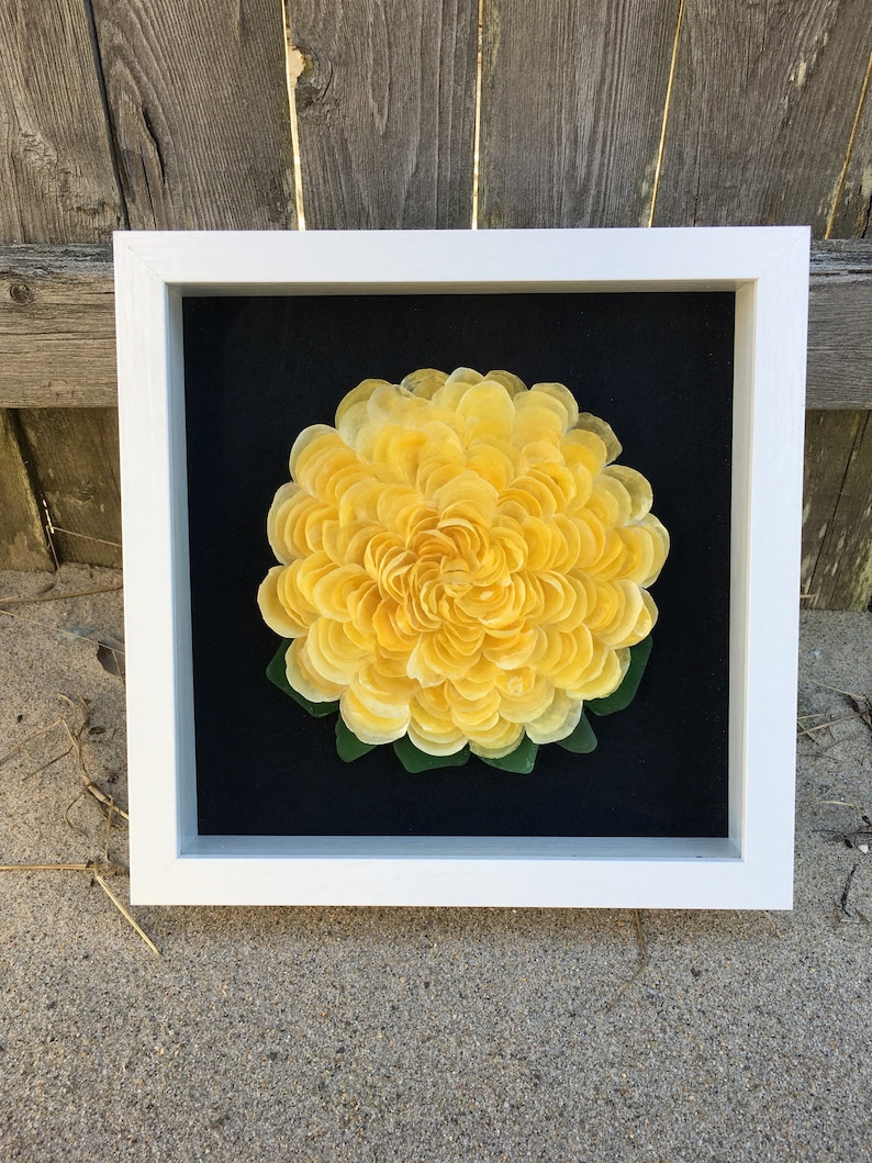 Jingle Seashell Flower Shadow Box (LARGE) - Etsy