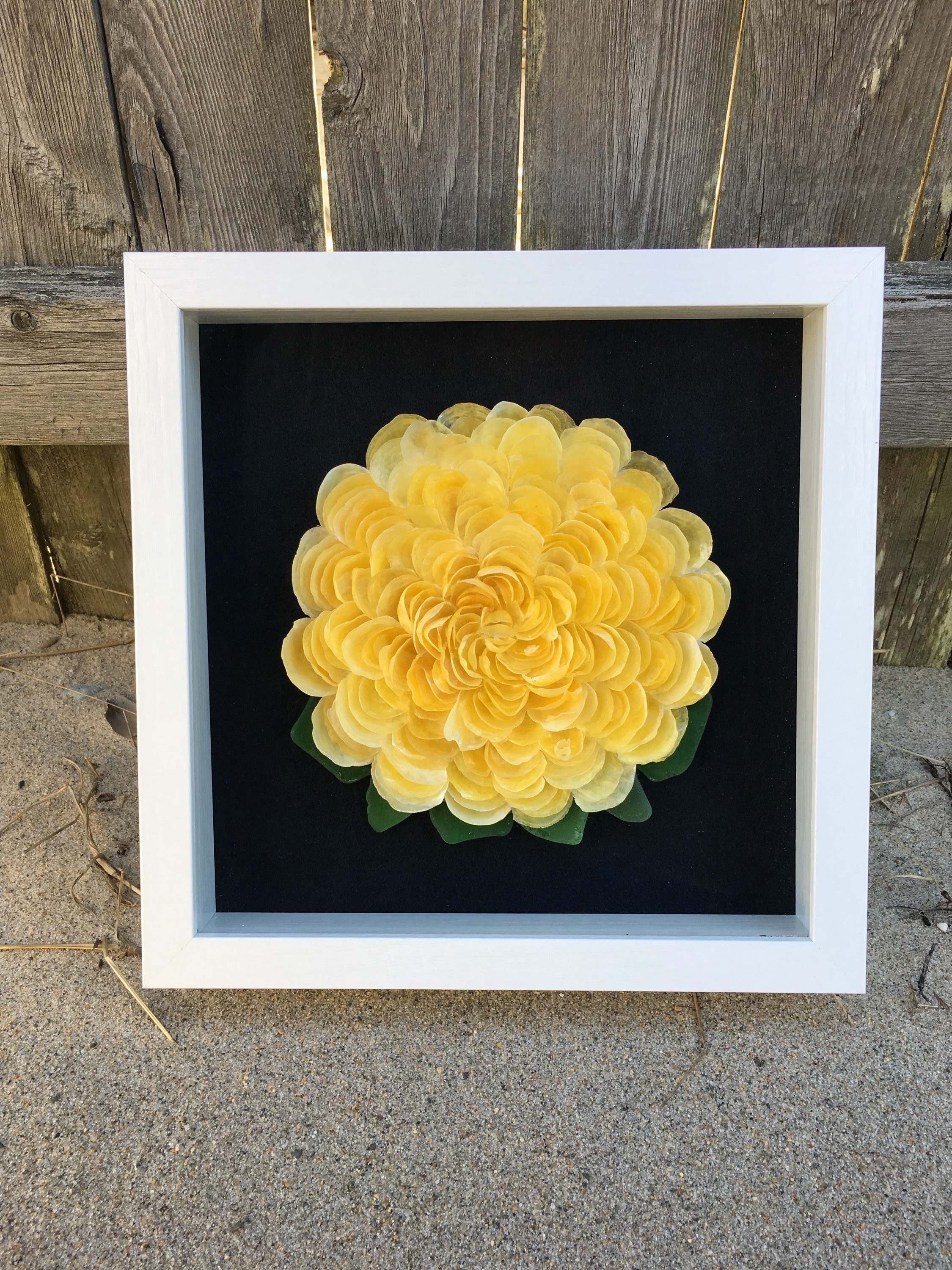 Jingle Seashell Flower Shadow Box (LARGE) - Etsy