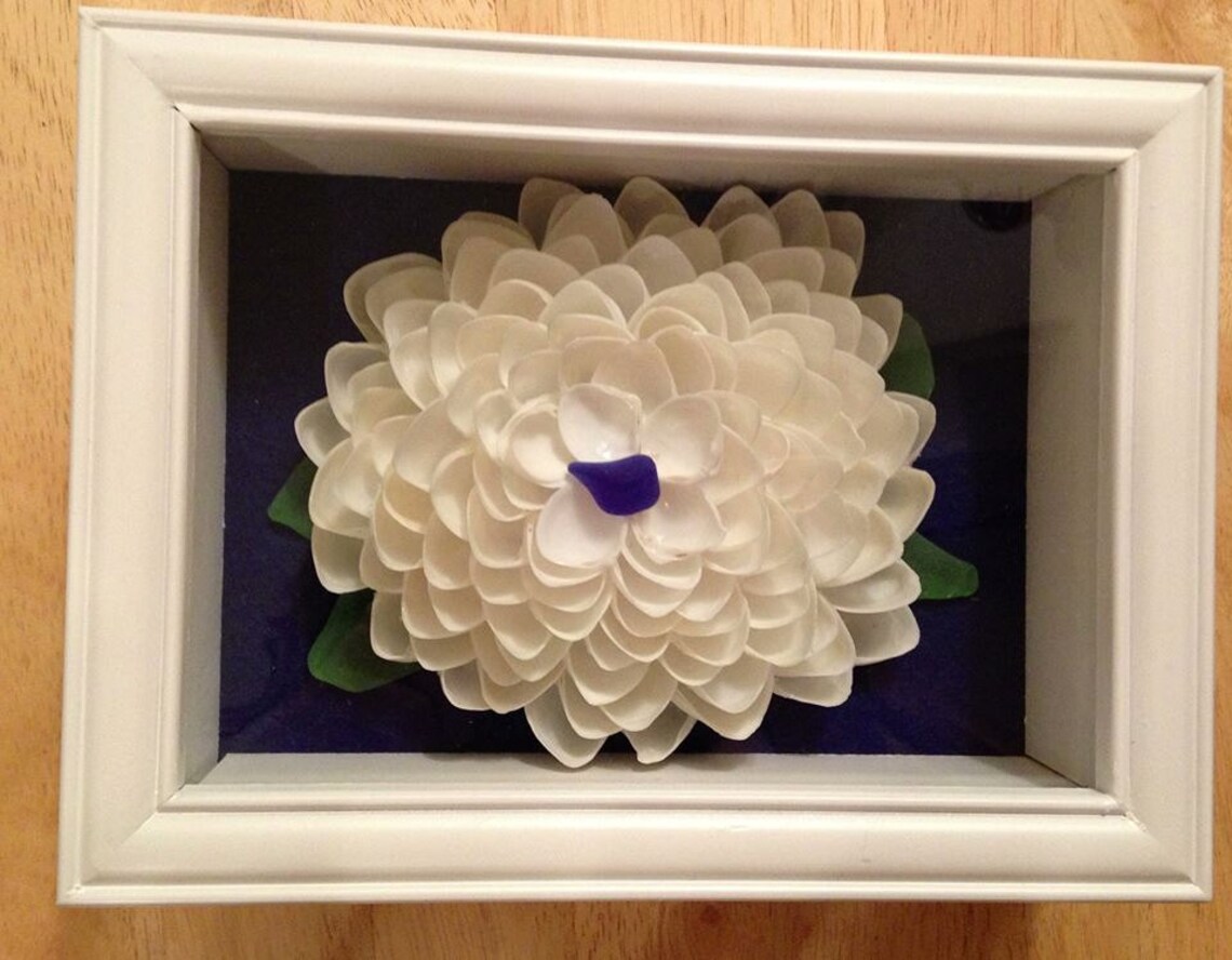 Seashell Flower Shadow Box (white Cay Cay Seashells) - Etsy