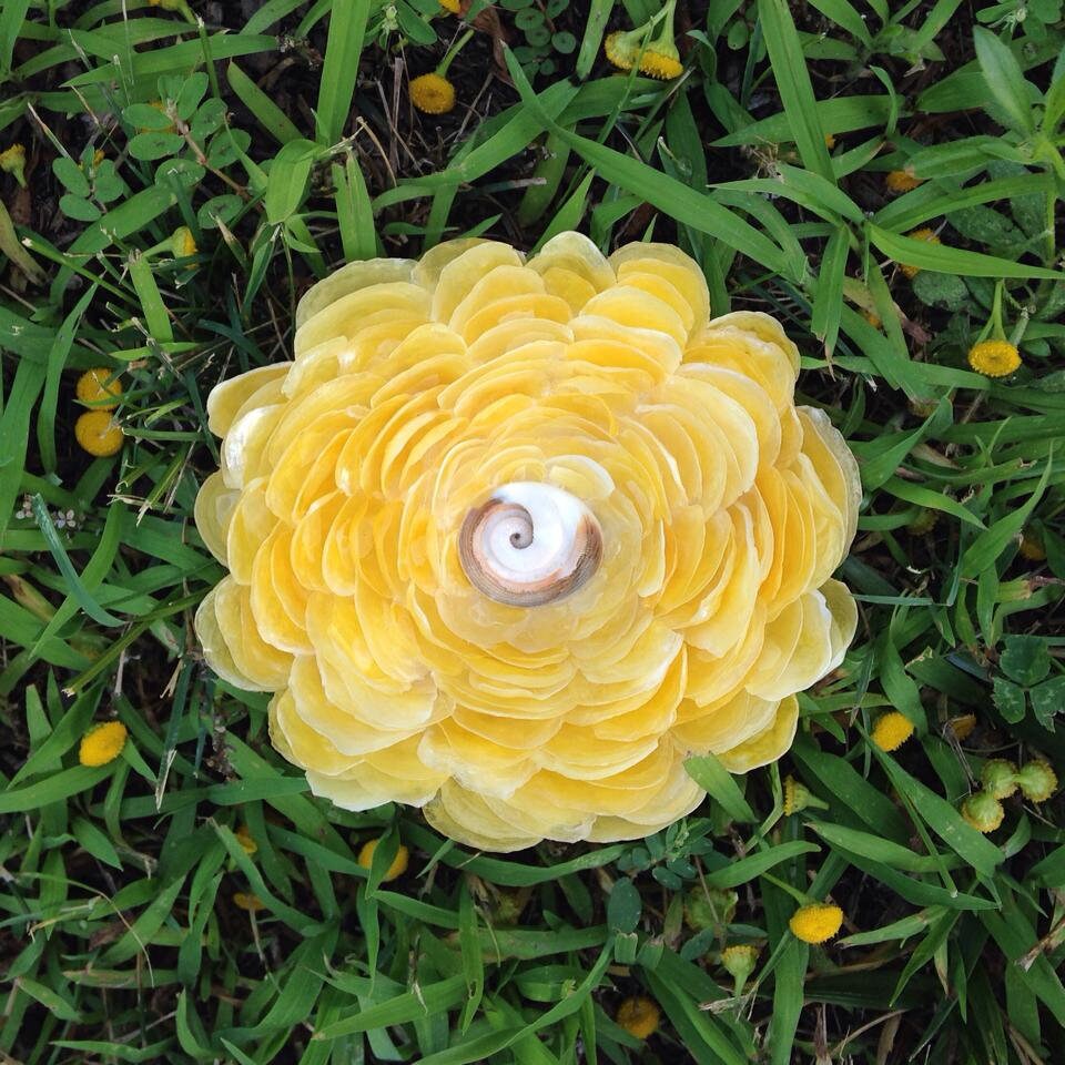 Seashell Flower Shadow Box jingle Seashells - Etsy