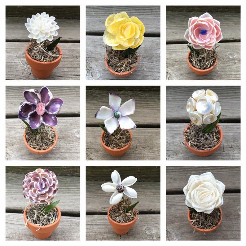 Custom Seashell Flower Pot - Etsy
