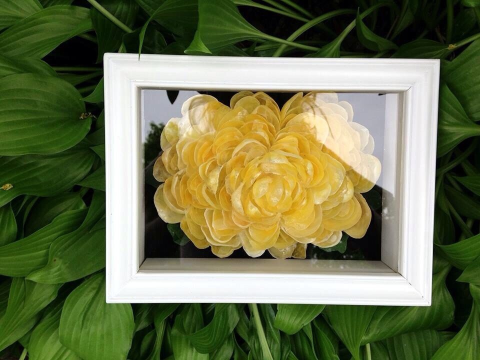 Seashell Flower Shadow Box jingle Seashells - Etsy
