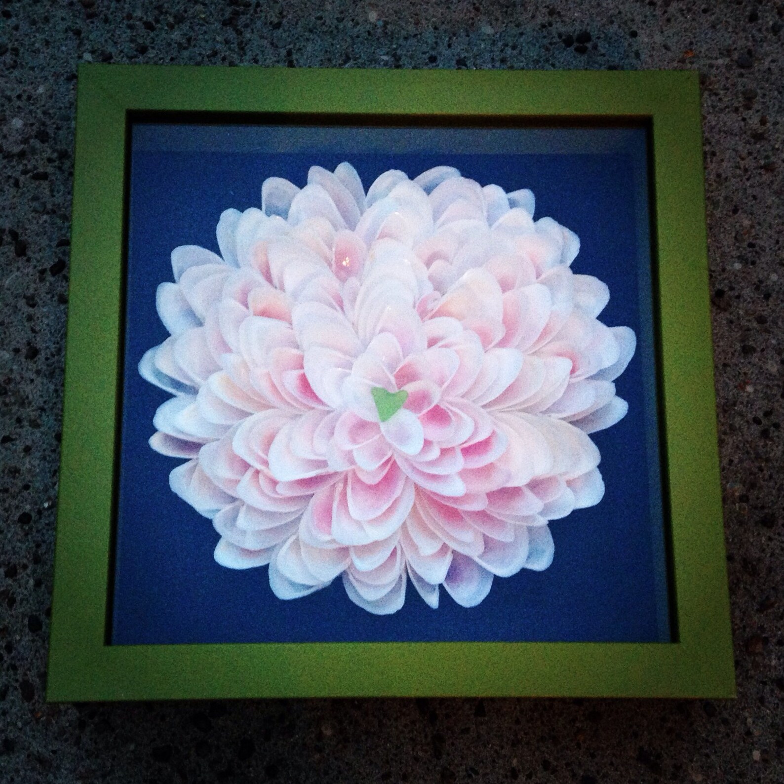 Pink Tellin Seashell Flower Shadow Box (LARGE) - Etsy