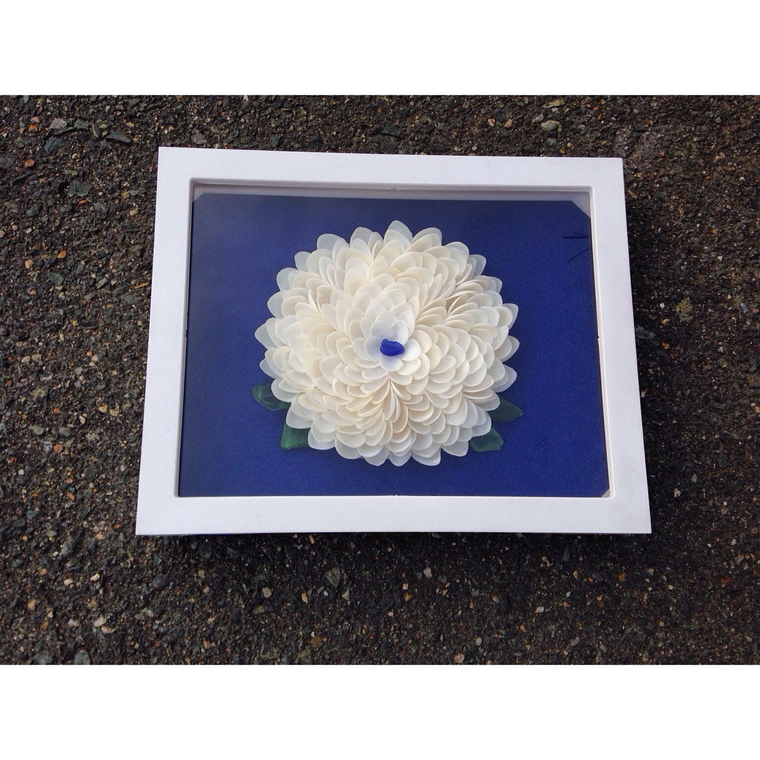 White Cay Cay Seashell Flower Shadow Box LARGE - Etsy