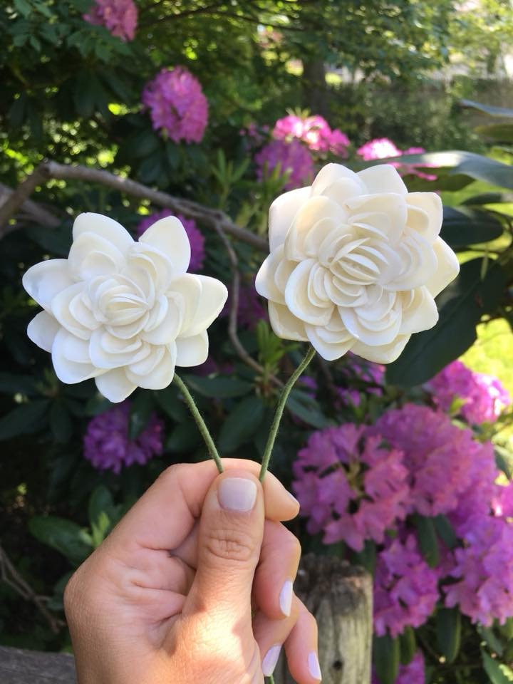 Two One of a Kind Intricate Seashell Flower Stems - Etsy