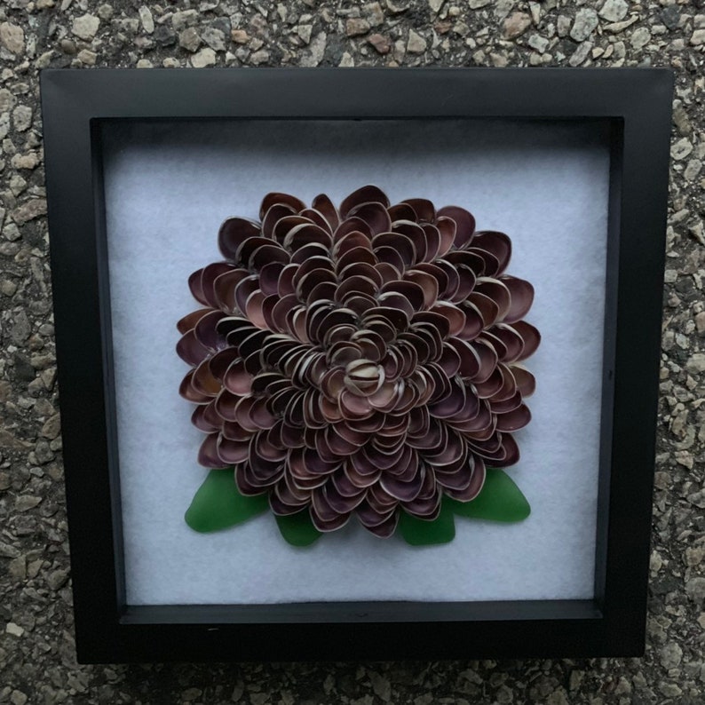 Seashell Flower Shadow Box purple Cay Cay Shells - Etsy