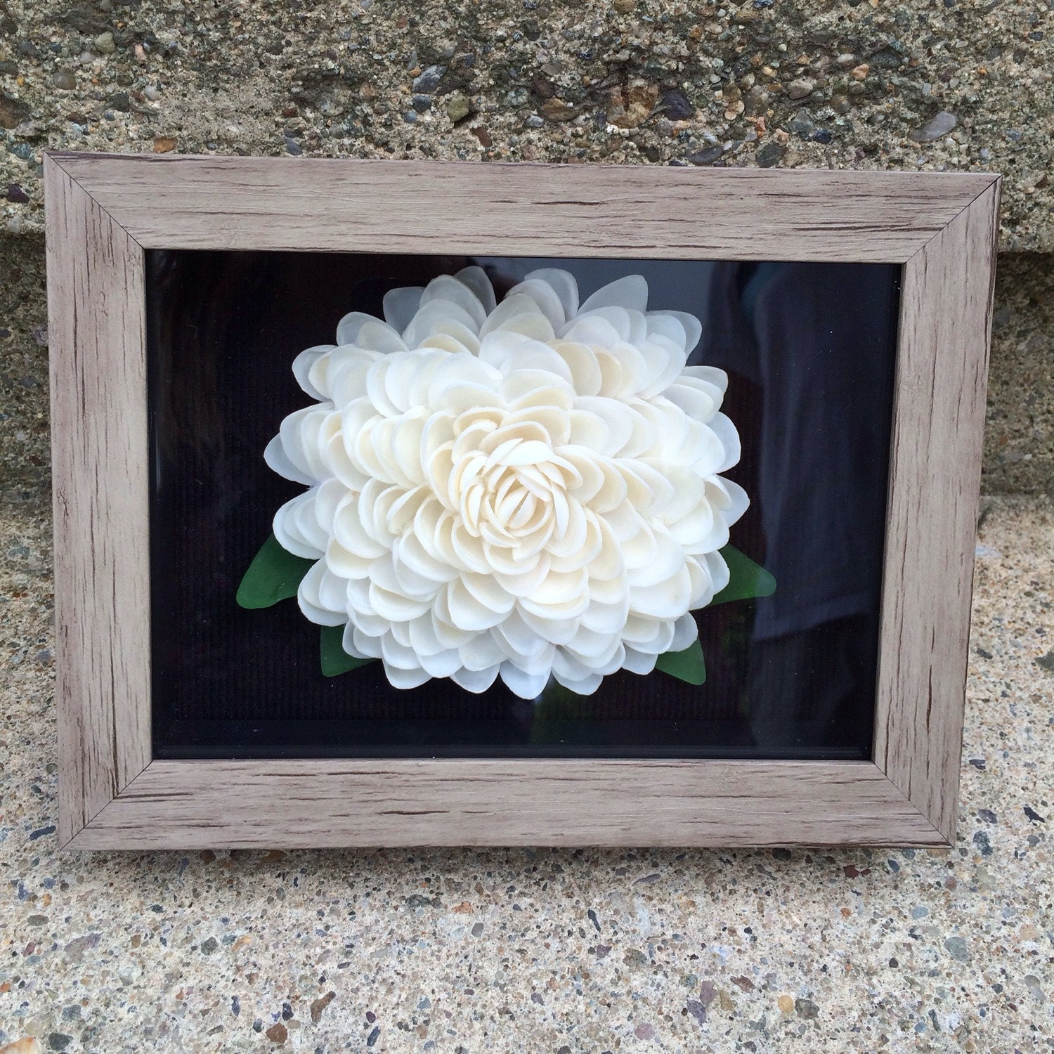 Seashell Flower Shadow Box white Cay Cay Seashells - Etsy