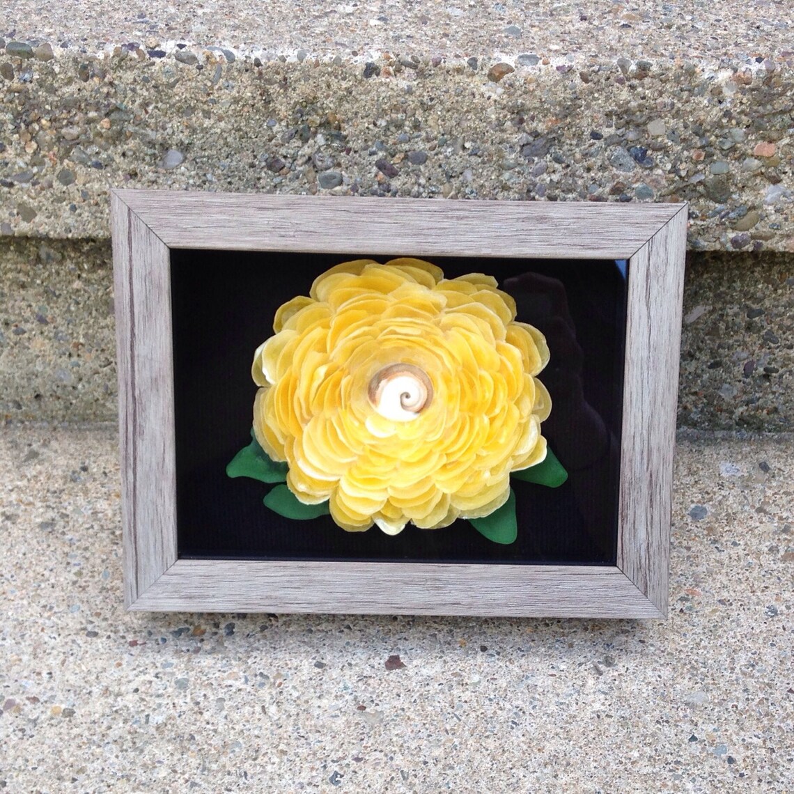 Seashell Flower Shadow Box jingle Seashells - Etsy