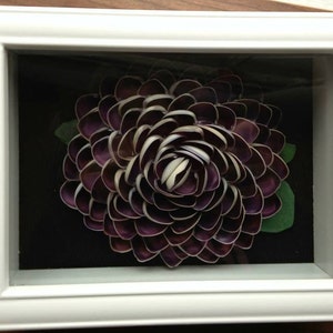 Seashell Flower Shadow Box (purple Cay Cay Shells) - Etsy