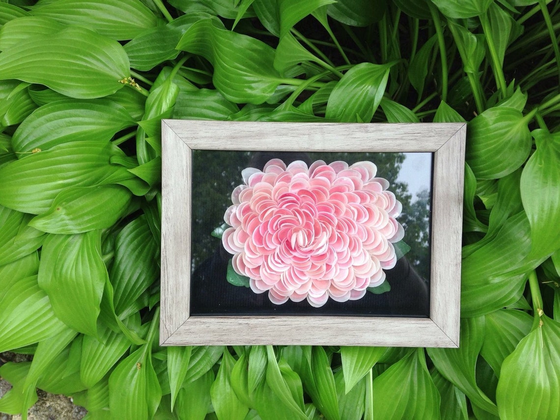 Seashell Flower Shadow Box (pink Rose Cup Shells) - Etsy