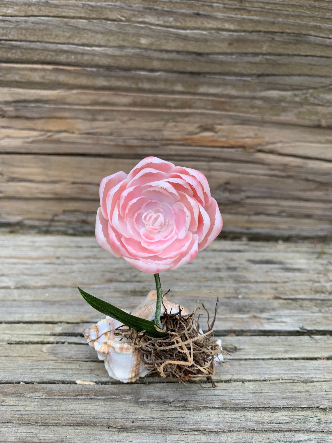 Seashell Flower in a Shell | Etsy