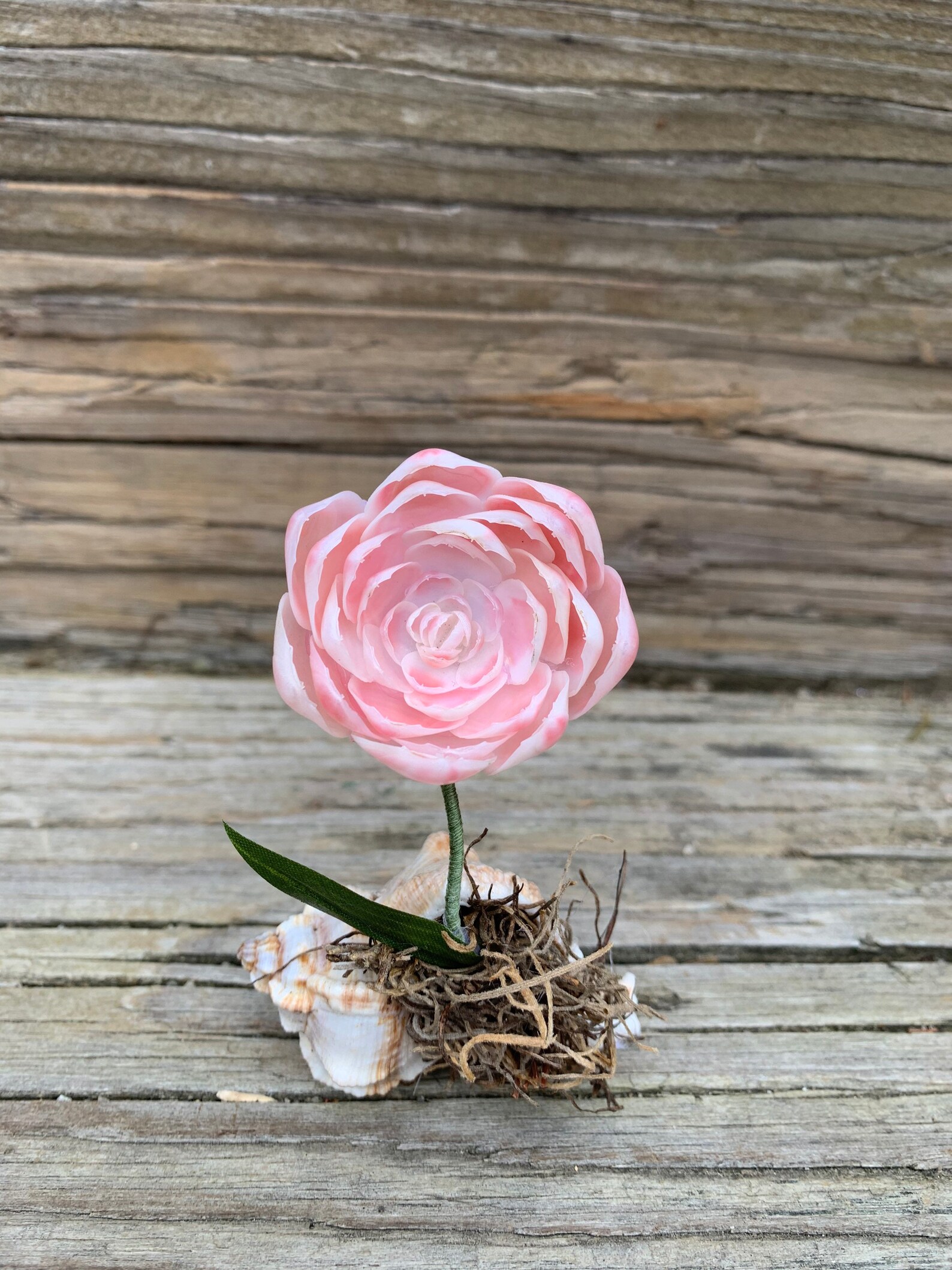Seashell Flower in a Shell - Etsy