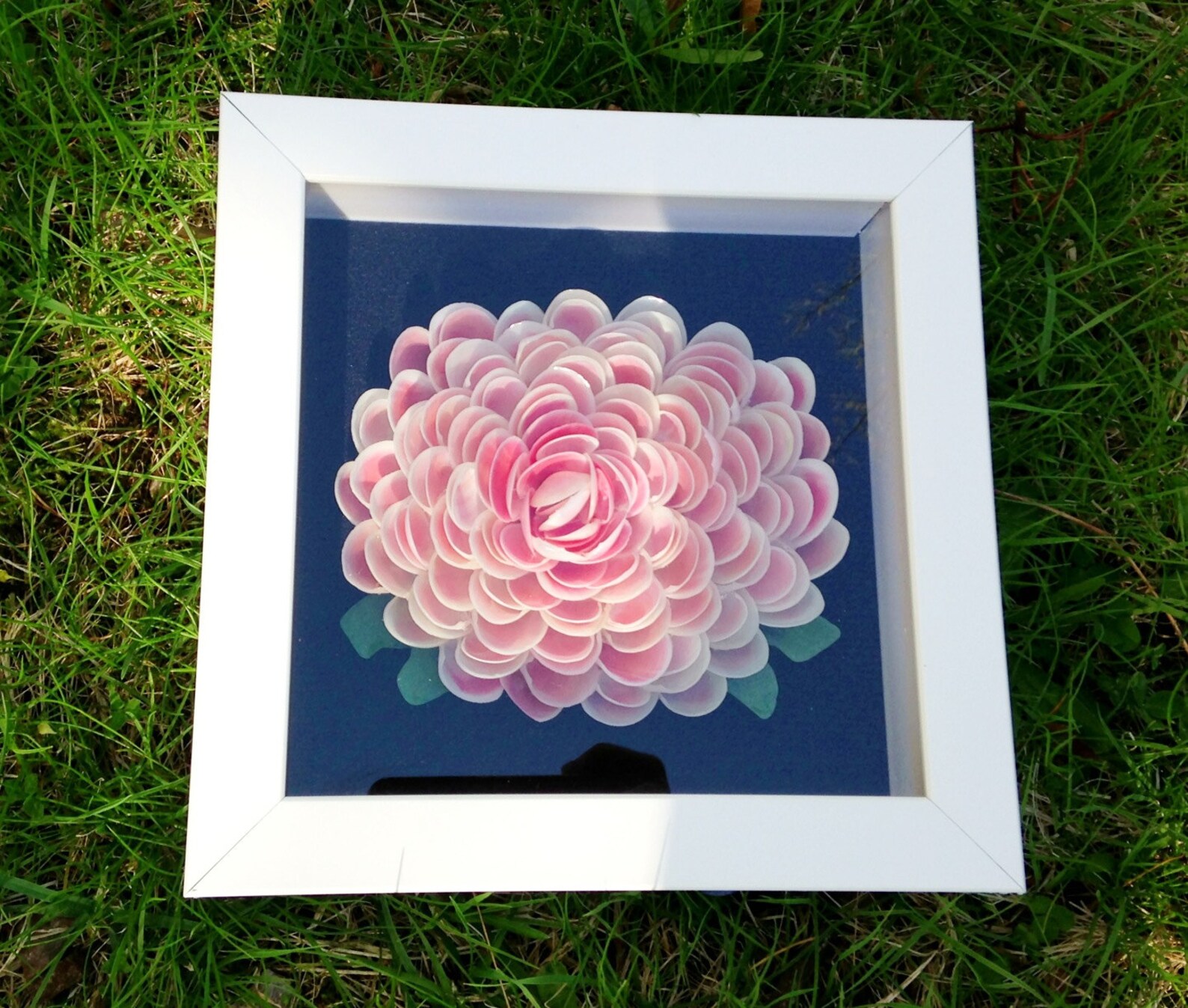 Seashell Flower Shadow Box pink Rose Cup Shells - Etsy