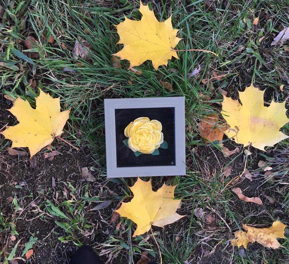 Mini Shadow Boxed Flowers (4" X 4") - Etsy