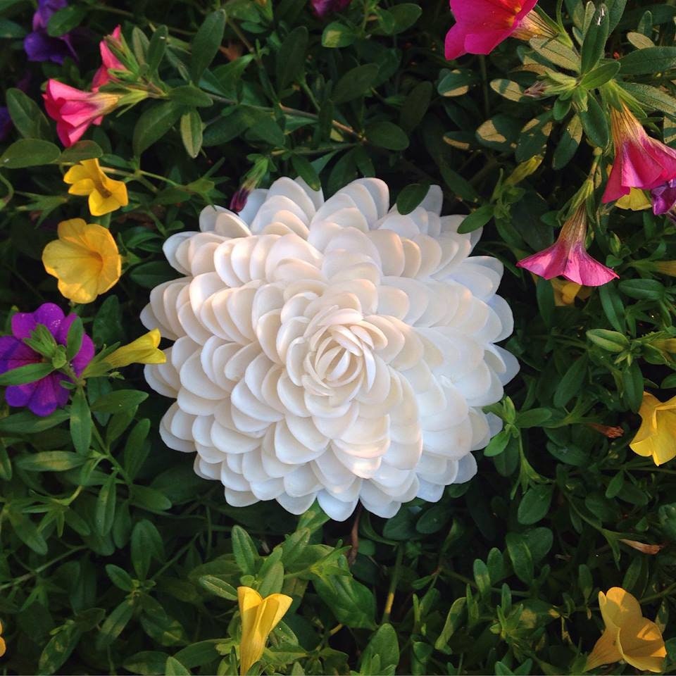 Seashell Flower Shadow Box white Cay Cay Seashells - Etsy