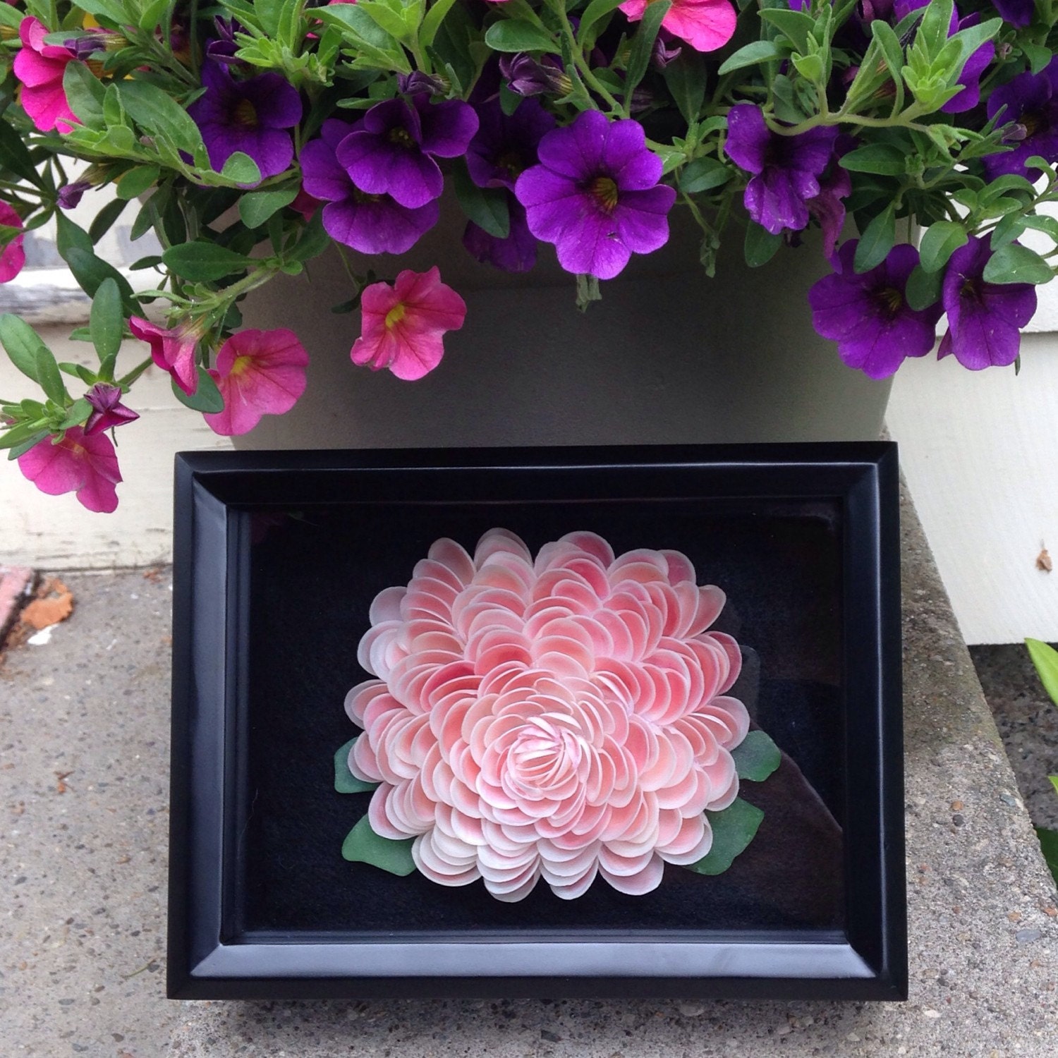 Seashell Flower Shadow Box pink Rose Cup Shells | Etsy