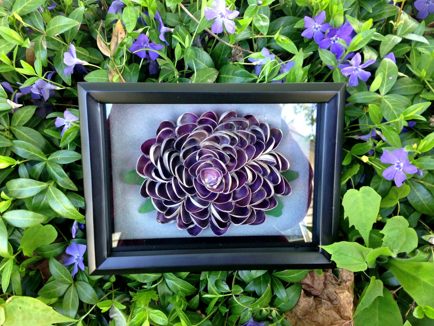 Seashell Flower Shadow Box purple Cay Cay Shells - Etsy