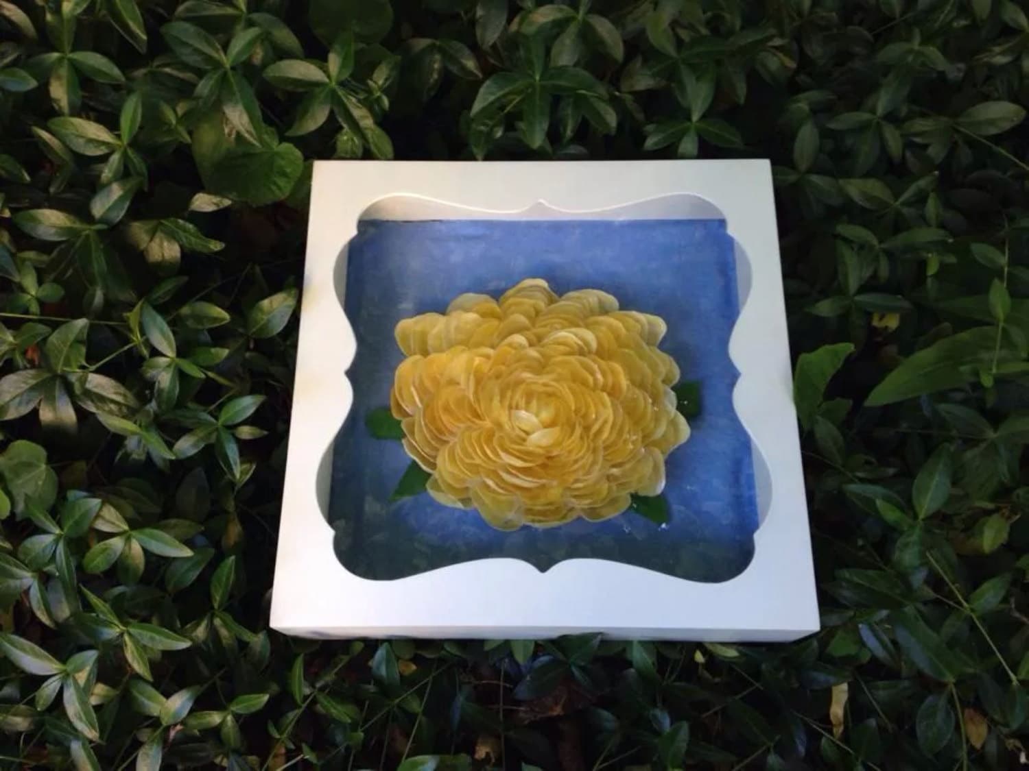 Jingle Seashell Flower Shadow Box (LARGE) - Etsy