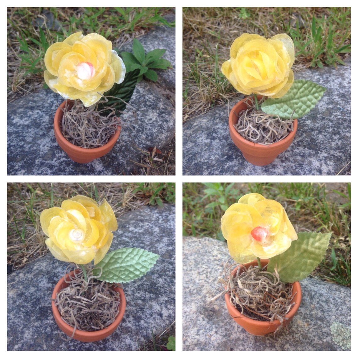 Custom Seashell Flower Pot | Etsy