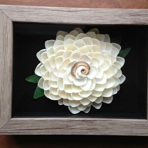 Seashell Flower Shadow Box (white Cay Cay Seashells) - Etsy