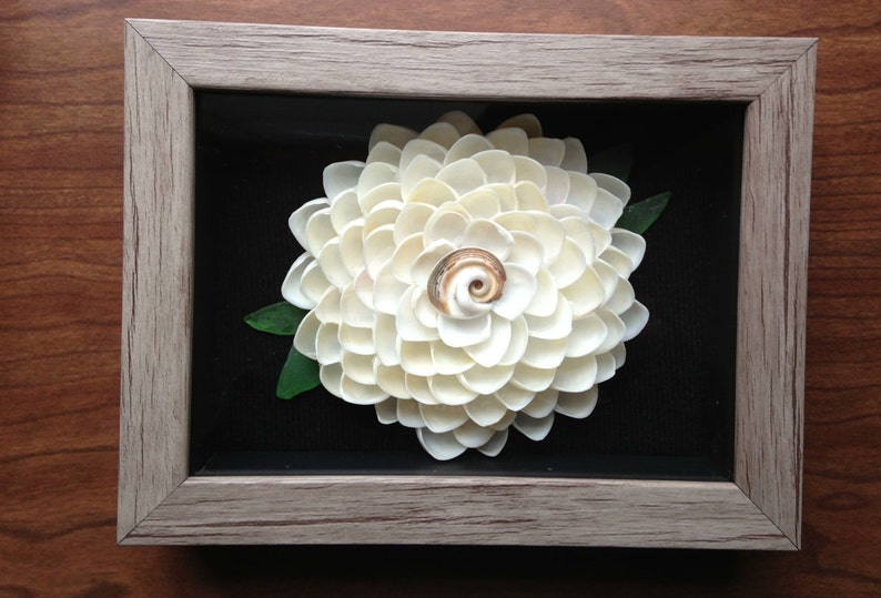Seashell Flower Shadow Box (white Cay Cay Seashells) - Etsy