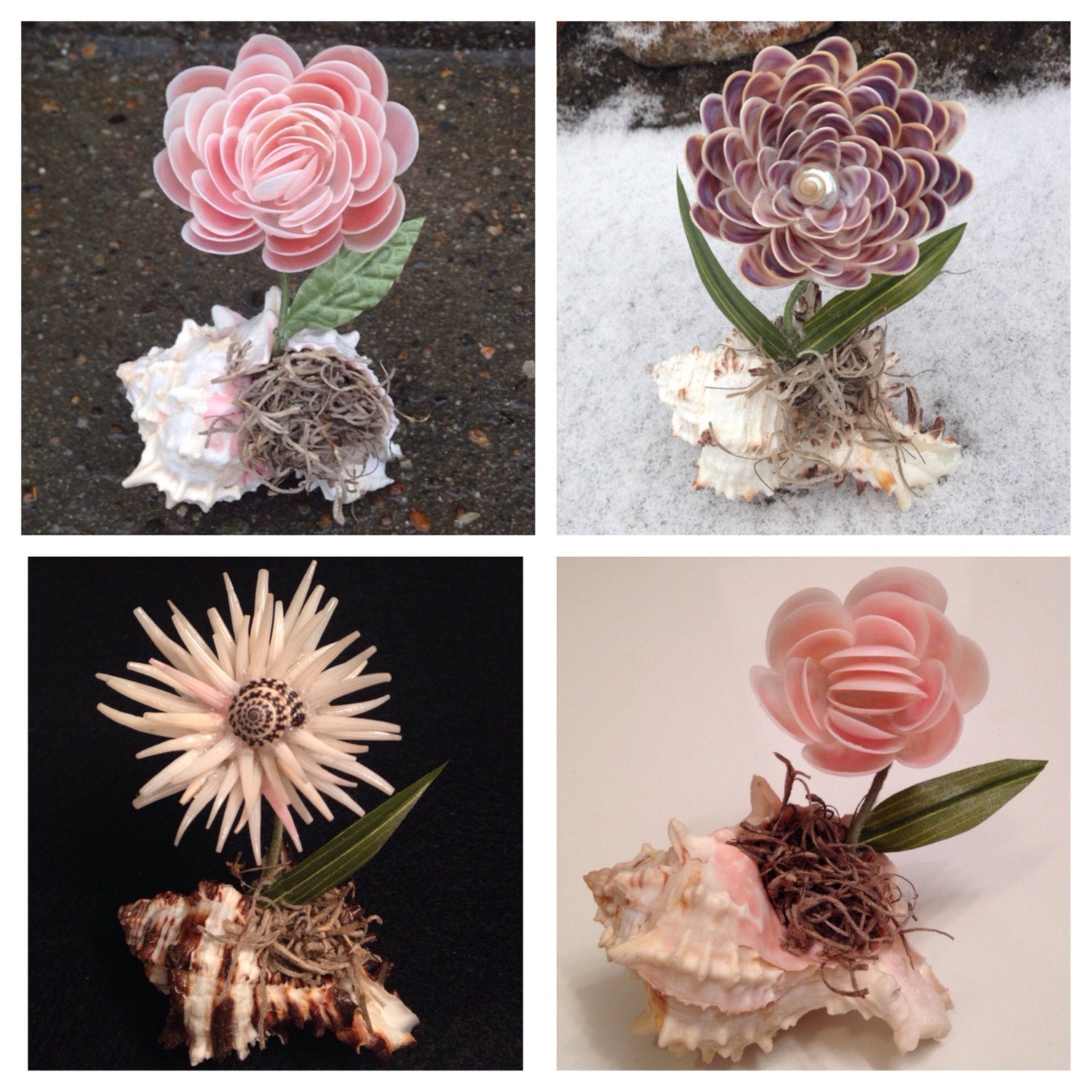 Seashell Flower in a Shell - Etsy