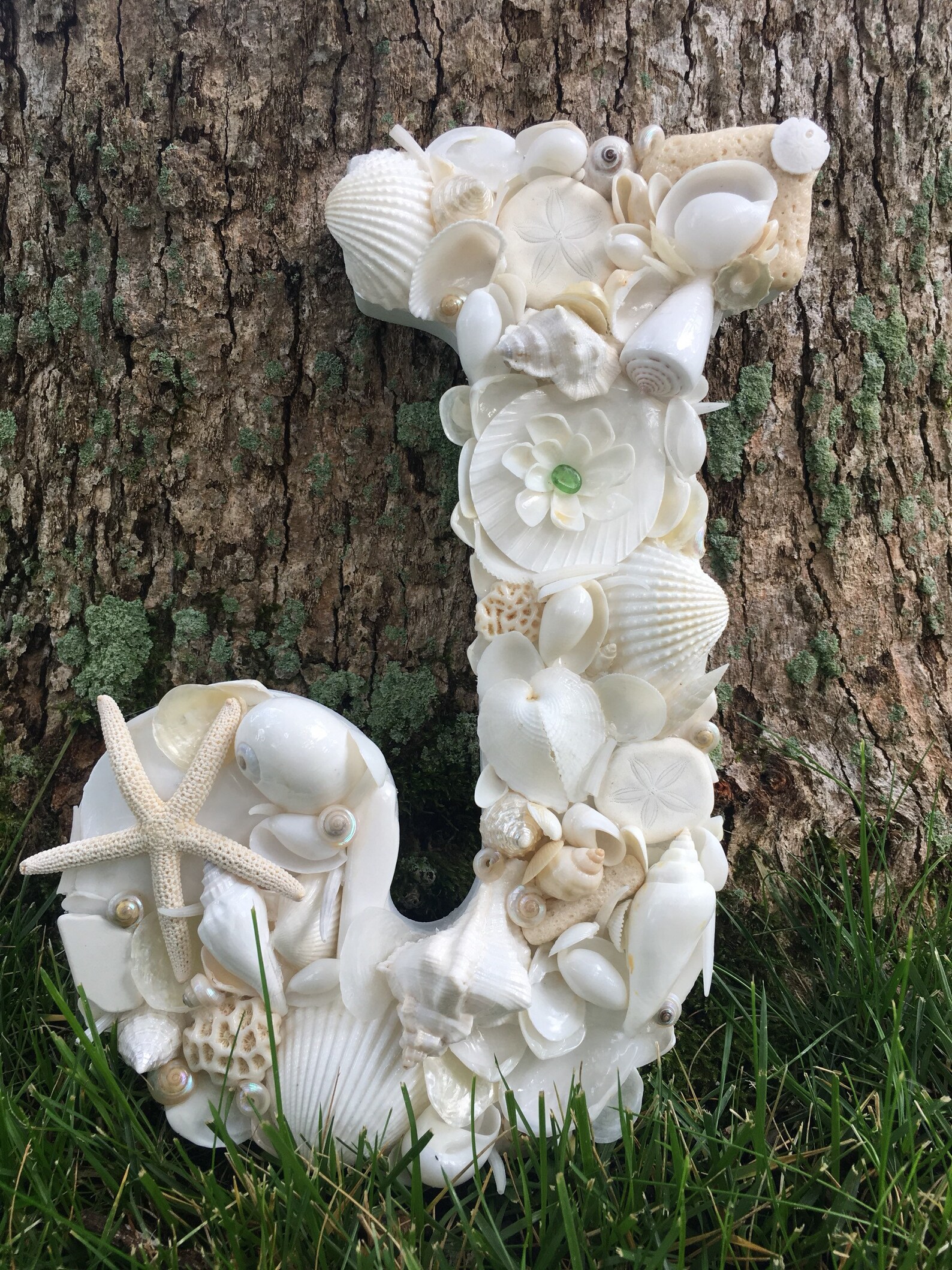 Seashell Letters - Etsy