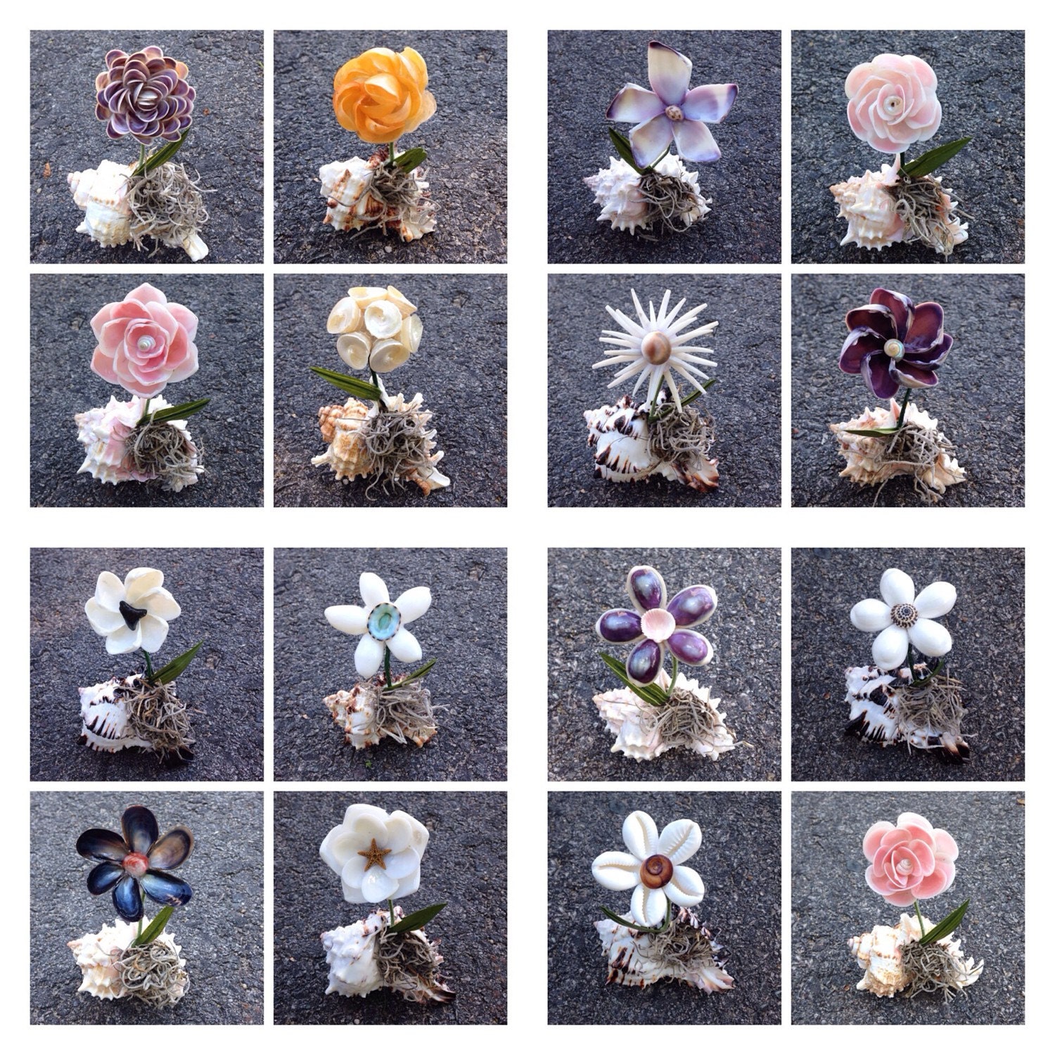 Seashell Flower in a Shell - Etsy