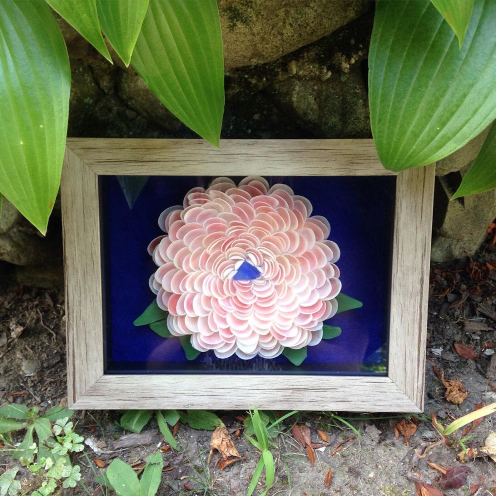 Seashell Flower Shadow Box pink Rose Cup Shells - Etsy