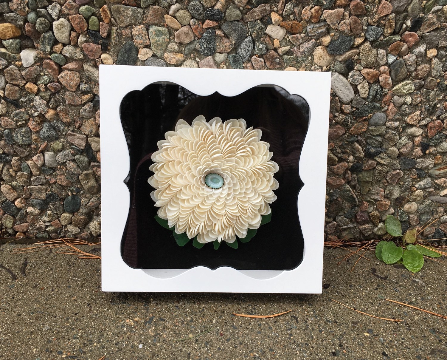 White Cay Cay Seashell Flower Shadow Box LARGE - Etsy