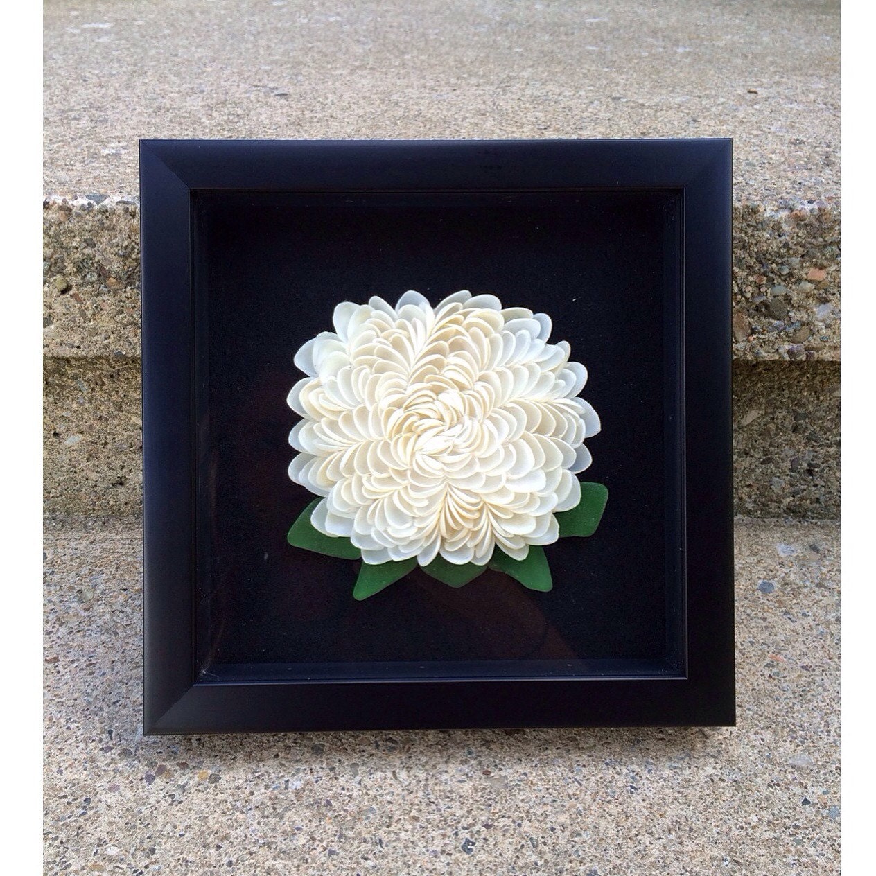 White Cay Cay Seashell Flower Shadow Box LARGE - Etsy