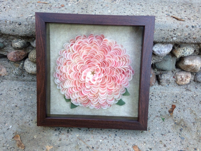 Pink Rose Cup Seashell Flower Shadow Box LARGE - Etsy