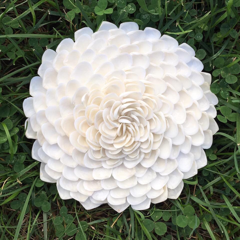 White Cay Cay Seashell Flower Shadow Box LARGE - Etsy