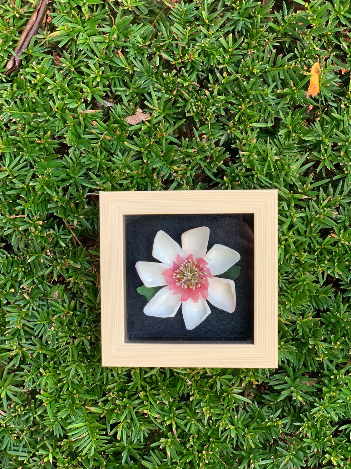 Mini Shadow Boxed Flowers (4" X 4") - Etsy
