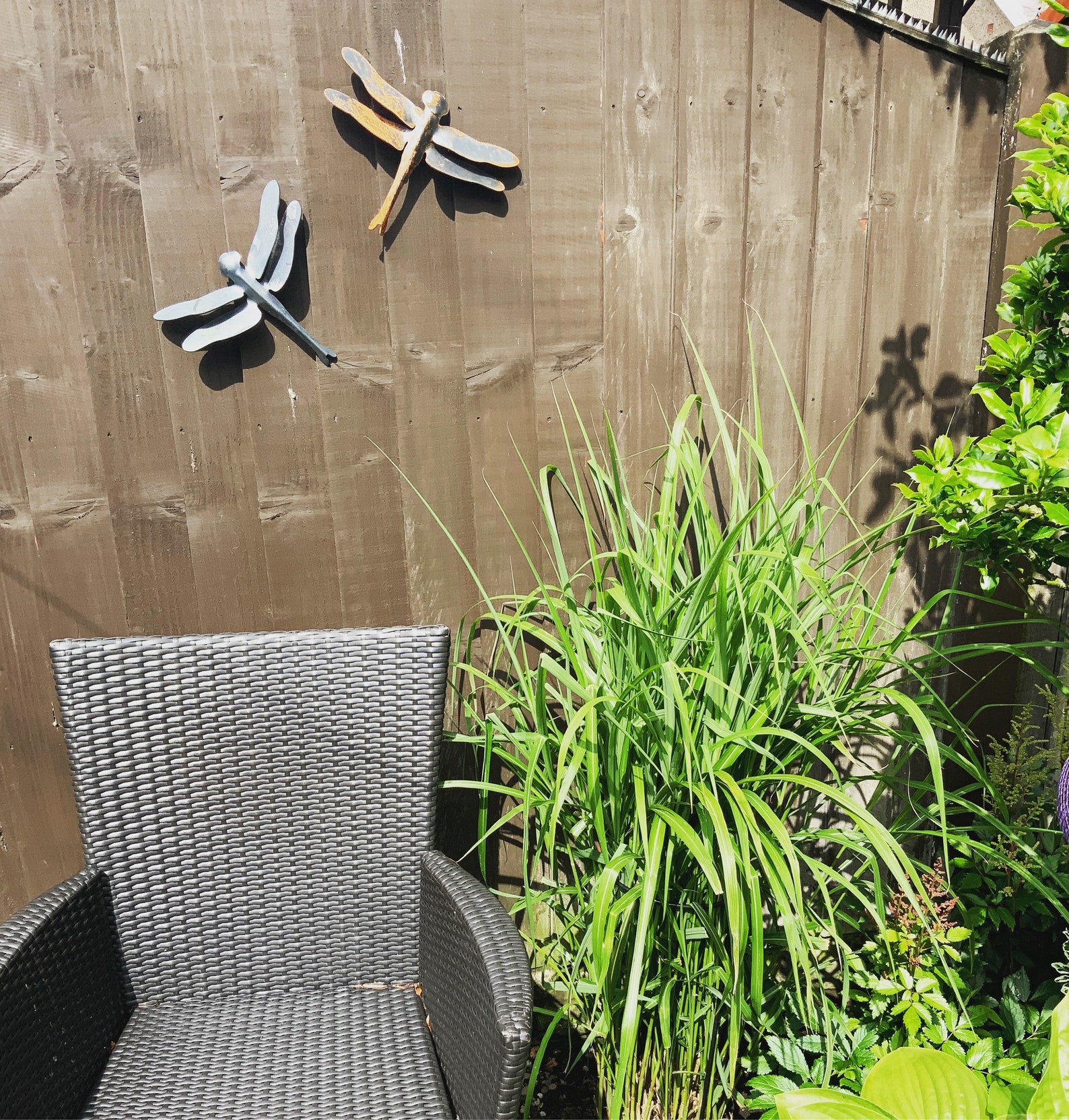 Dragonfly Wall Art, 2 Sizes, Wall Decor, Steel Dragonfly Garden Art ...