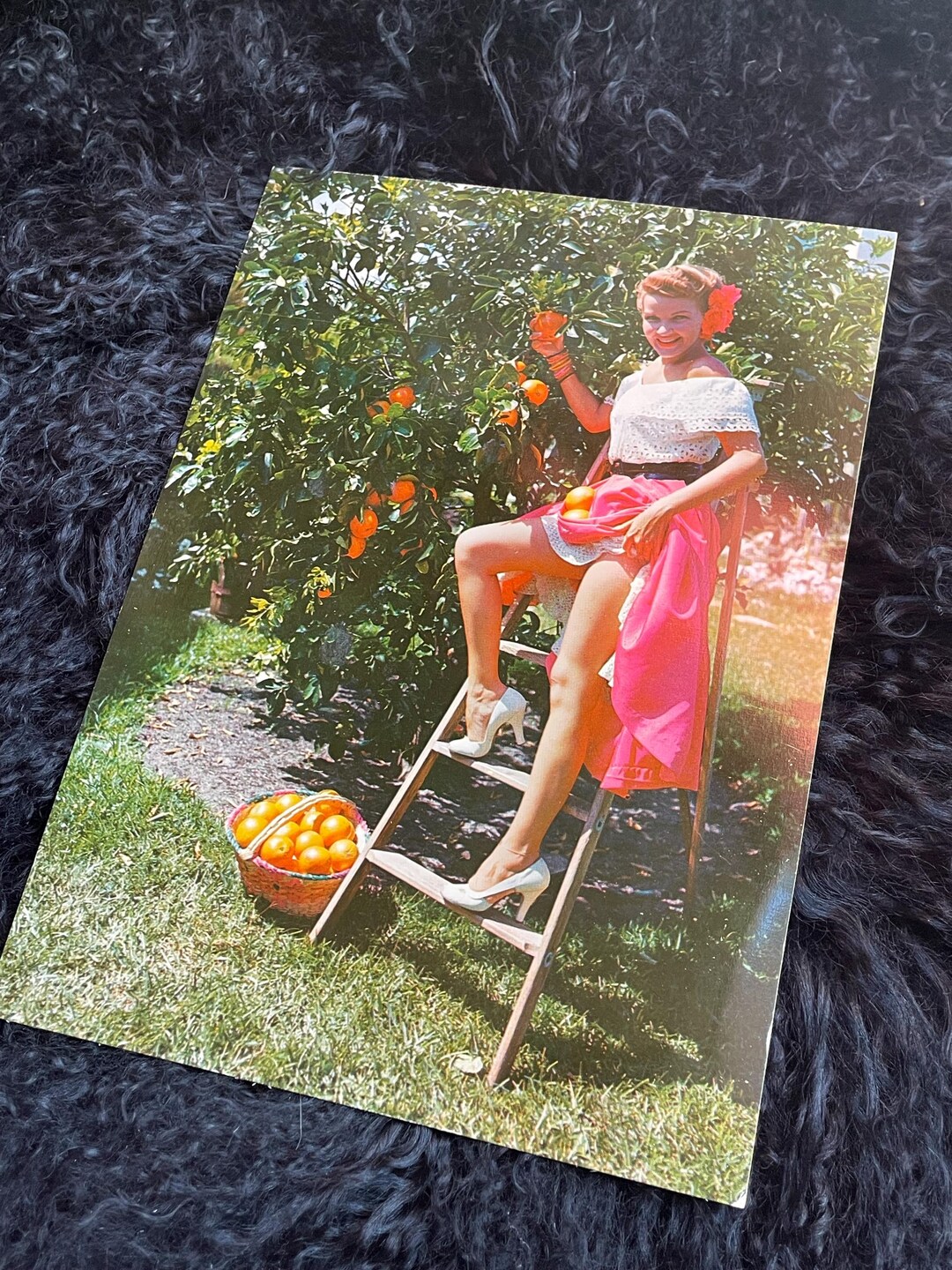 Rare Vintage Jumbo 9” Pinup Postcard Florida Oranges Orange Grove Color ...