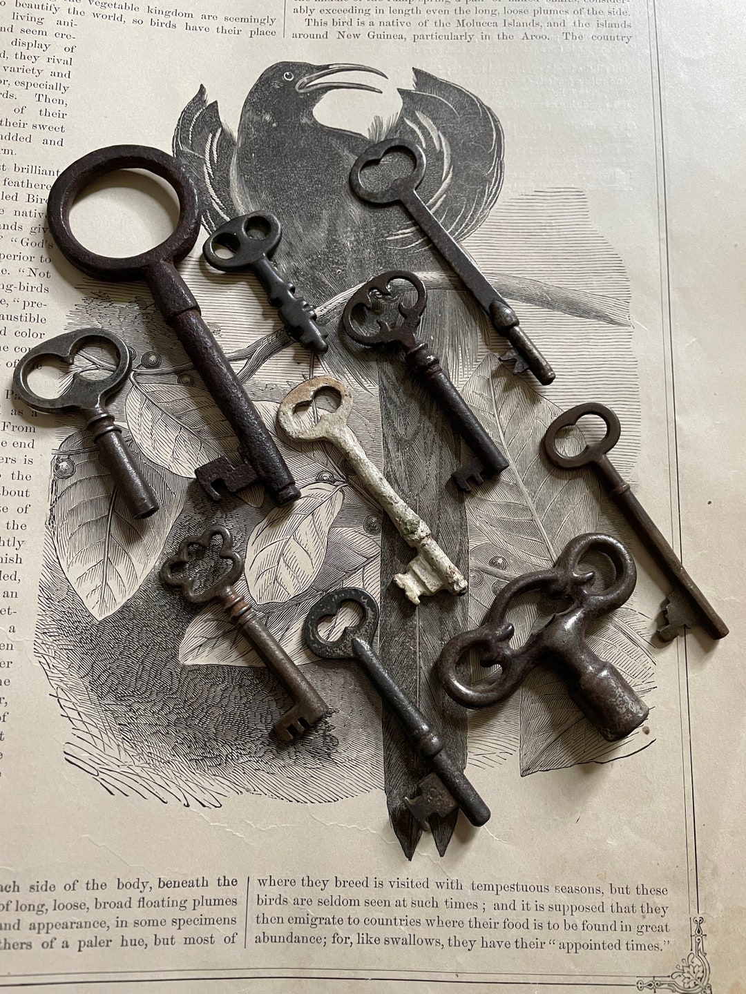 Antique Skeleton Keys Sold Individually Large Keys Unusual Keys ...