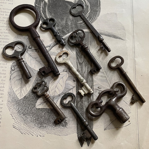 Skeleton Key Art - Etsy