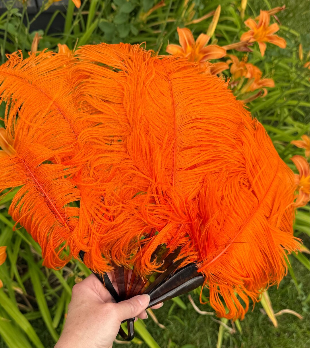 Antique Vibrant Orange Ostrich Feather Faux Tortoise Shell Staves and ...