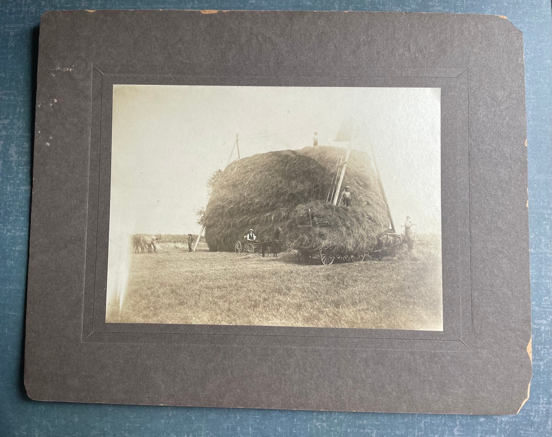 Antique Mounted Photo of Gigantic Mound of Hay Farm Farmers Horses - Etsy