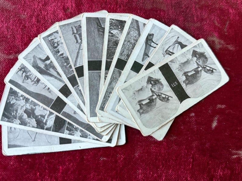 Antique Miniature Stereoscope Photo Cards Animals Taxidermy Lot of 12 ...