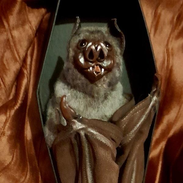 Vampire Bat Taxidermy - Etsy