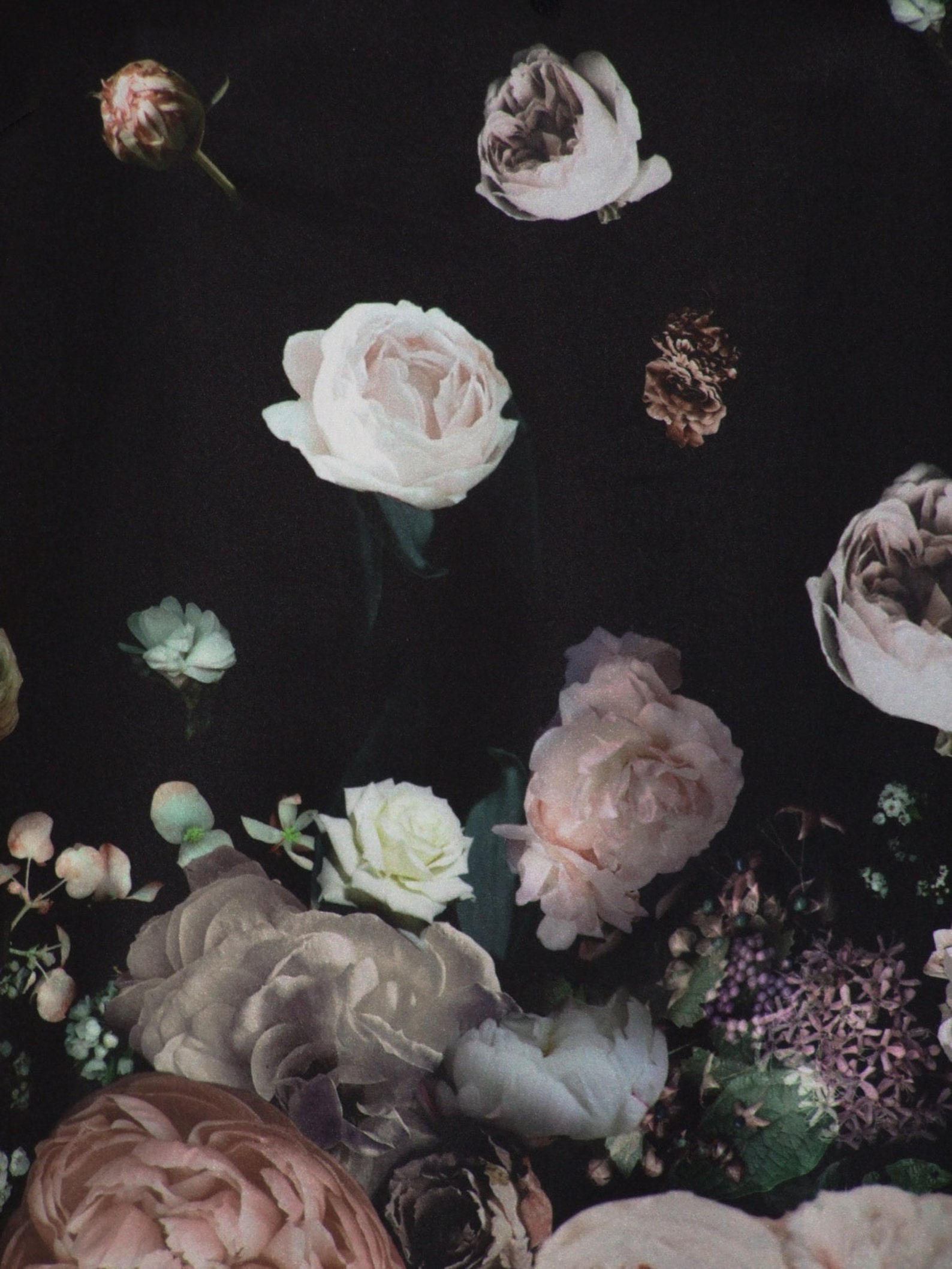 90's Vintage Women's Black Rose Printed Top With Lace - Etsy