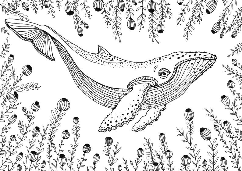 Unlimited Printable- Whale Coloring Page: Hand Drawn Ocean Illustration ...
