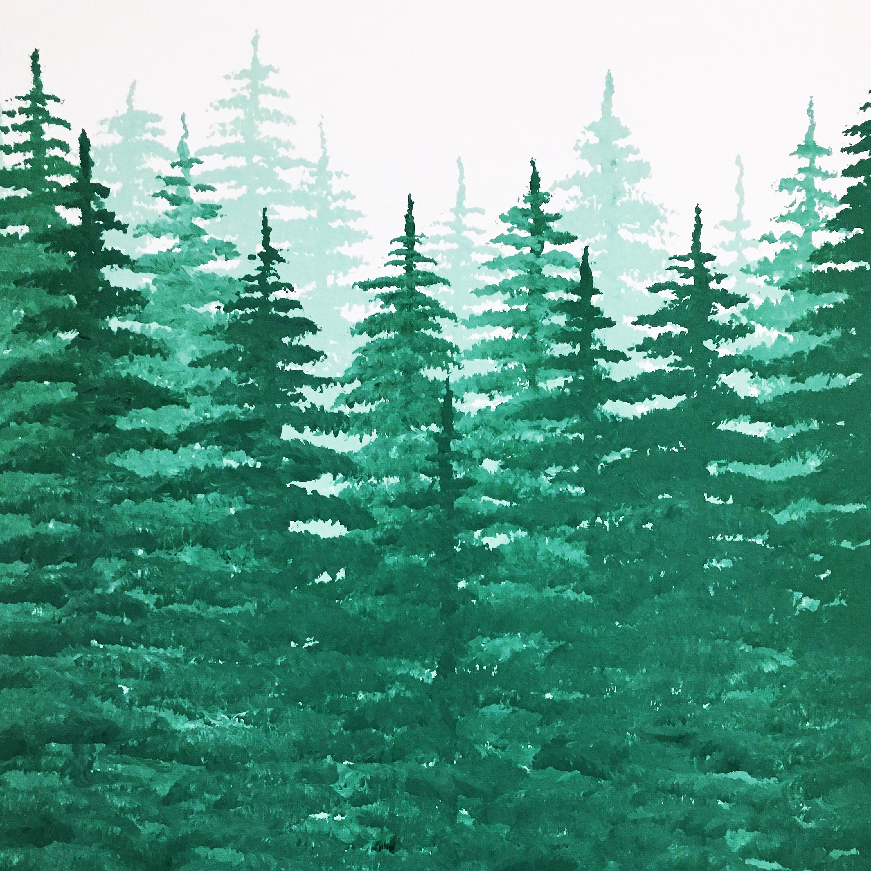 Pine Forest Drawings
