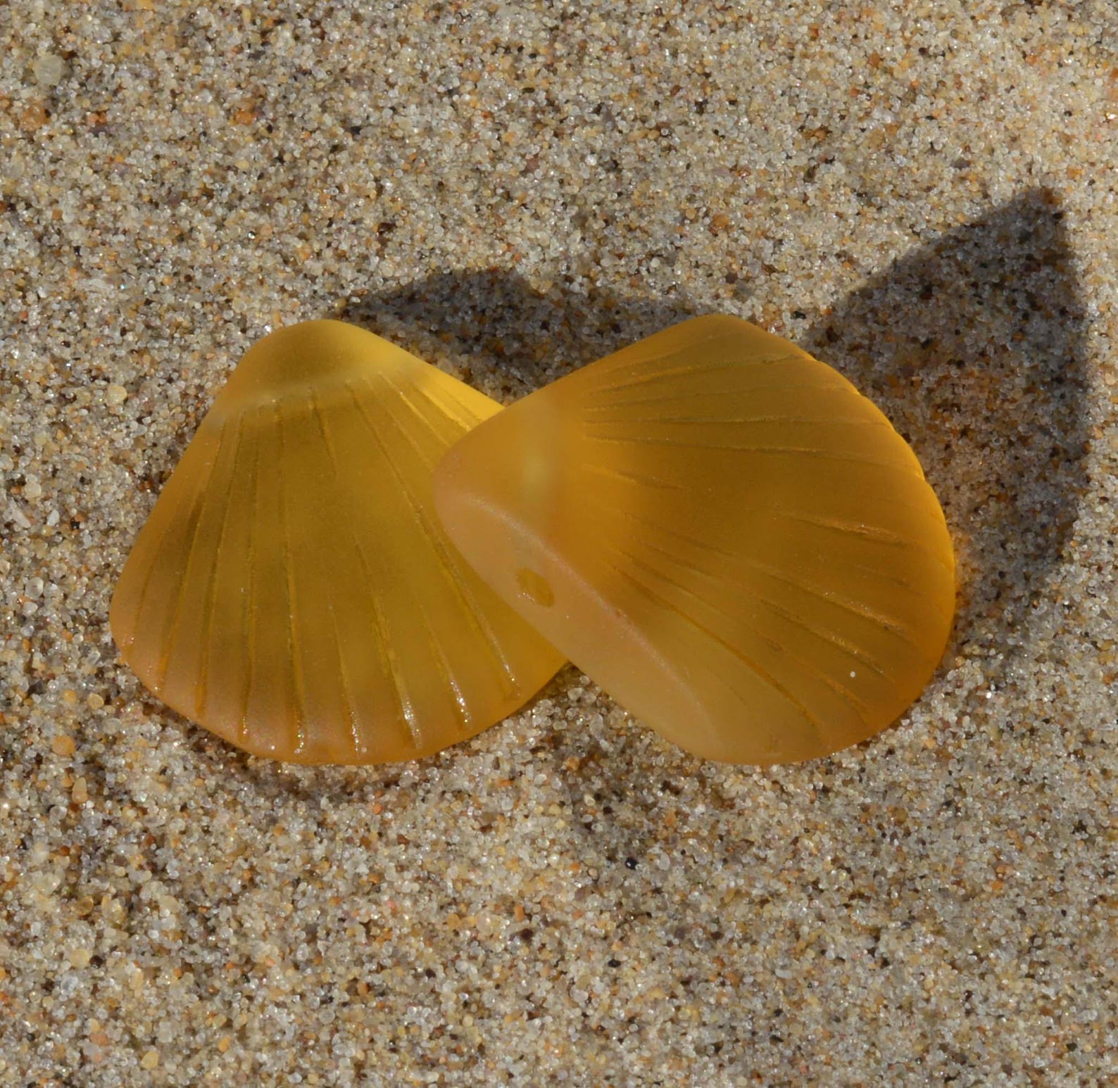 Sea Glass Shell 2pcs 29x27mm Rainbow LG Tip-drilled Shell - Etsy