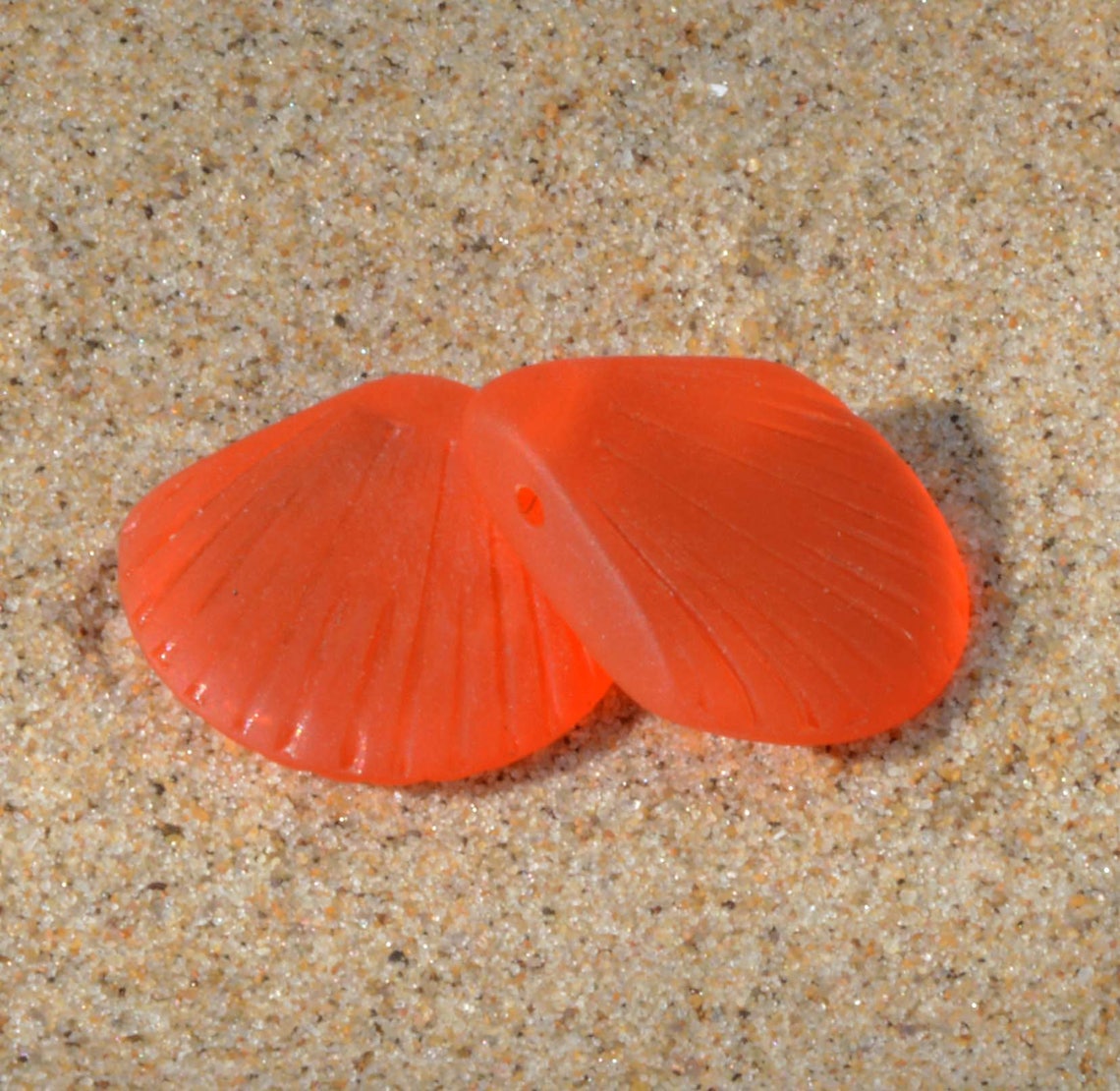 Sea Glass Shell 2pcs 29x27mm Rainbow LG Tip-drilled Shell - Etsy